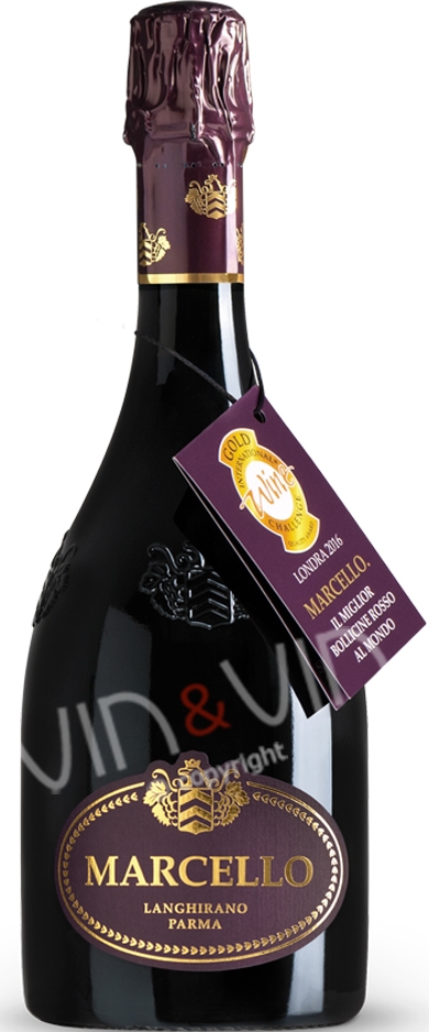 Marcello Lambrusco - Ariola Vigne e Vini